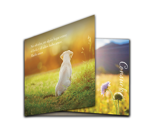 Pet Loss Dog 1 Spanish | Hope Through Healing